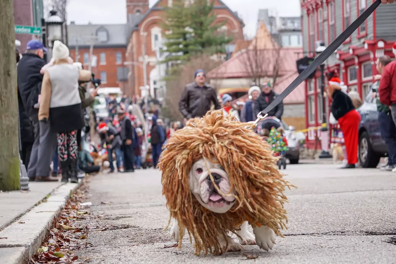 All the Adorable Costumed Dogs We Saw at The 32nd-Annual Mt. Adams ...