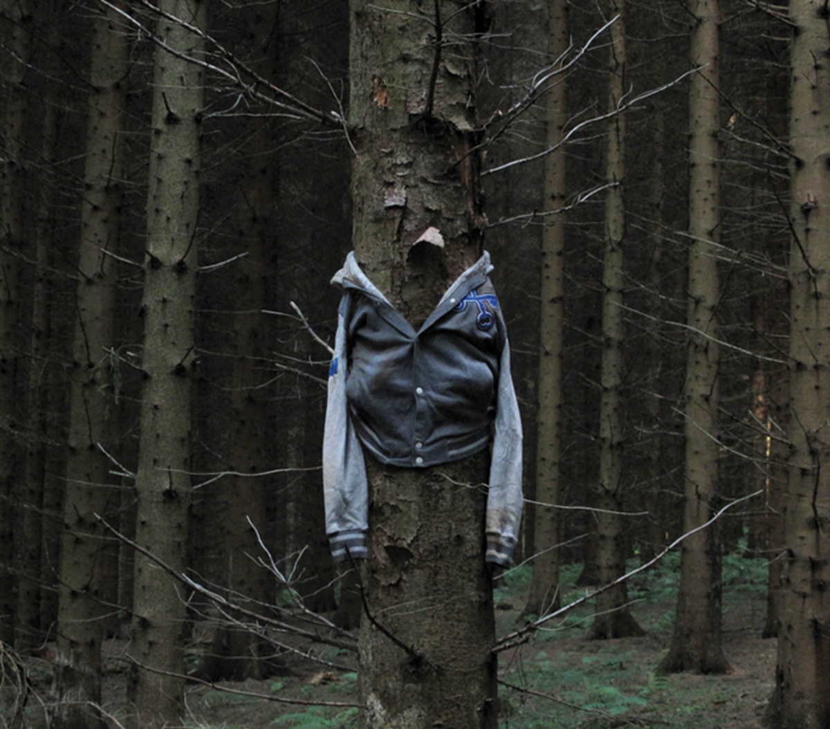 CAC Takes Audiences Into the Deep, Dark Woods