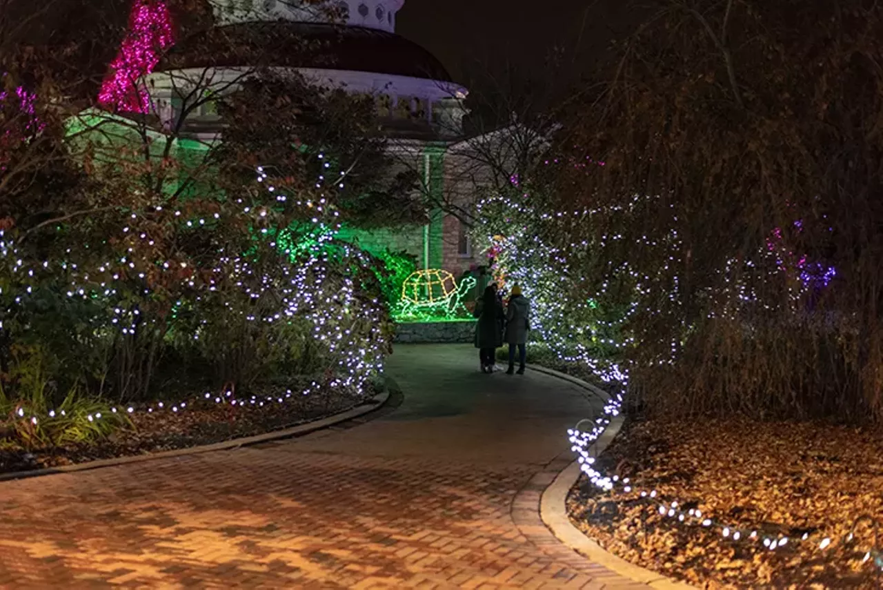 Cincinnati Zoo & Botanical Garden's Festival of Lights is a 'Wild ...