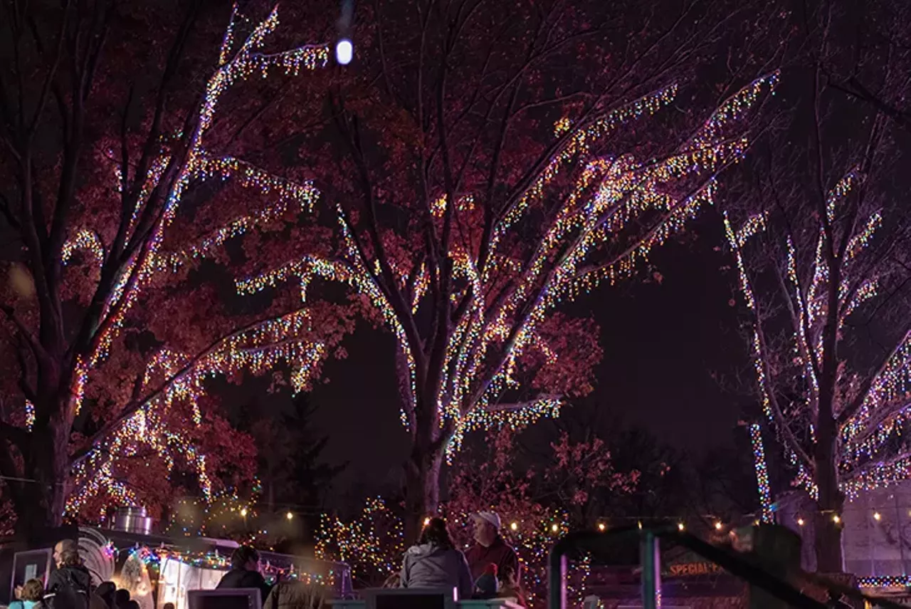 Cincinnati Zoo & Botanical Garden's Festival of Lights is a 'Wild ...