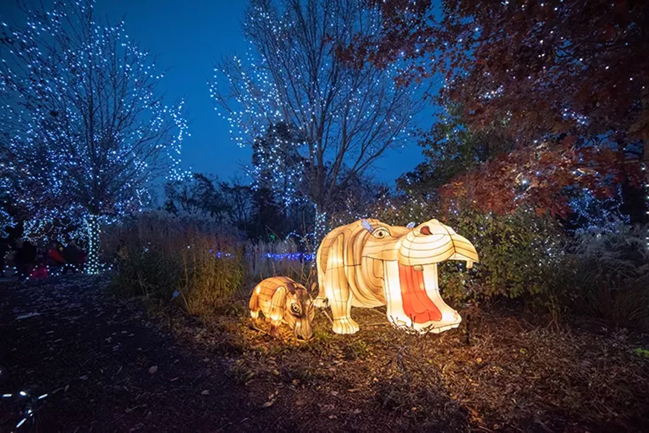 Cincinnati Zoo & Botanical Garden's Festival of Lights is a 'Wild ...