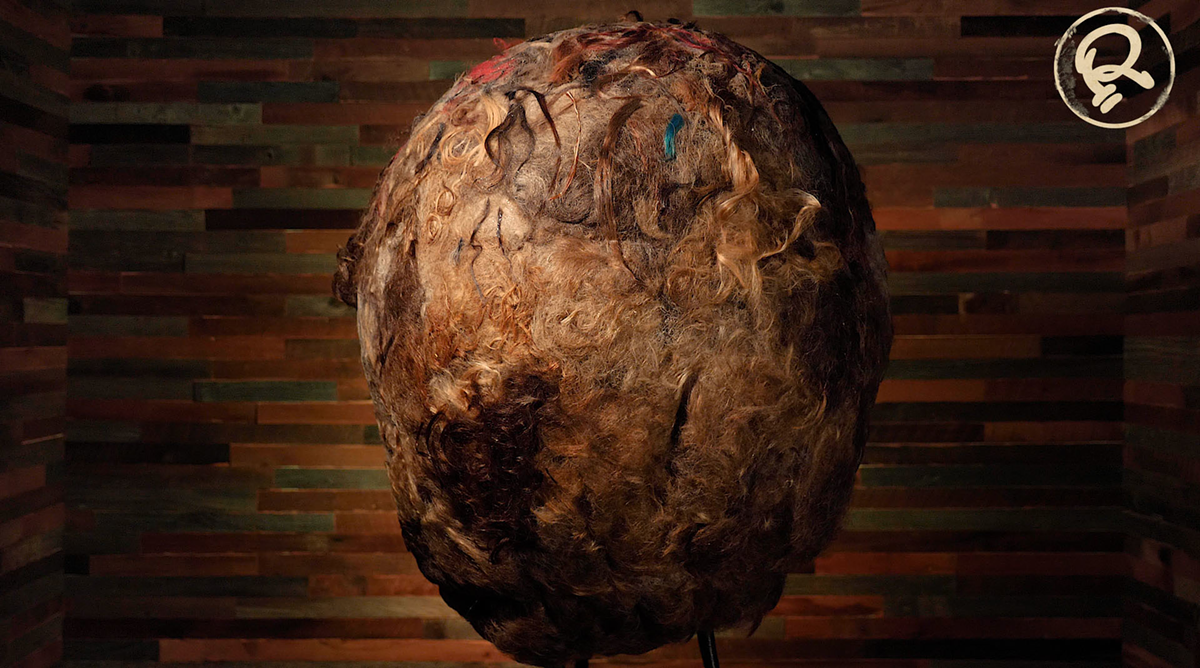 Ohio's Largest Hairball is a Thing of True and Utter Horror