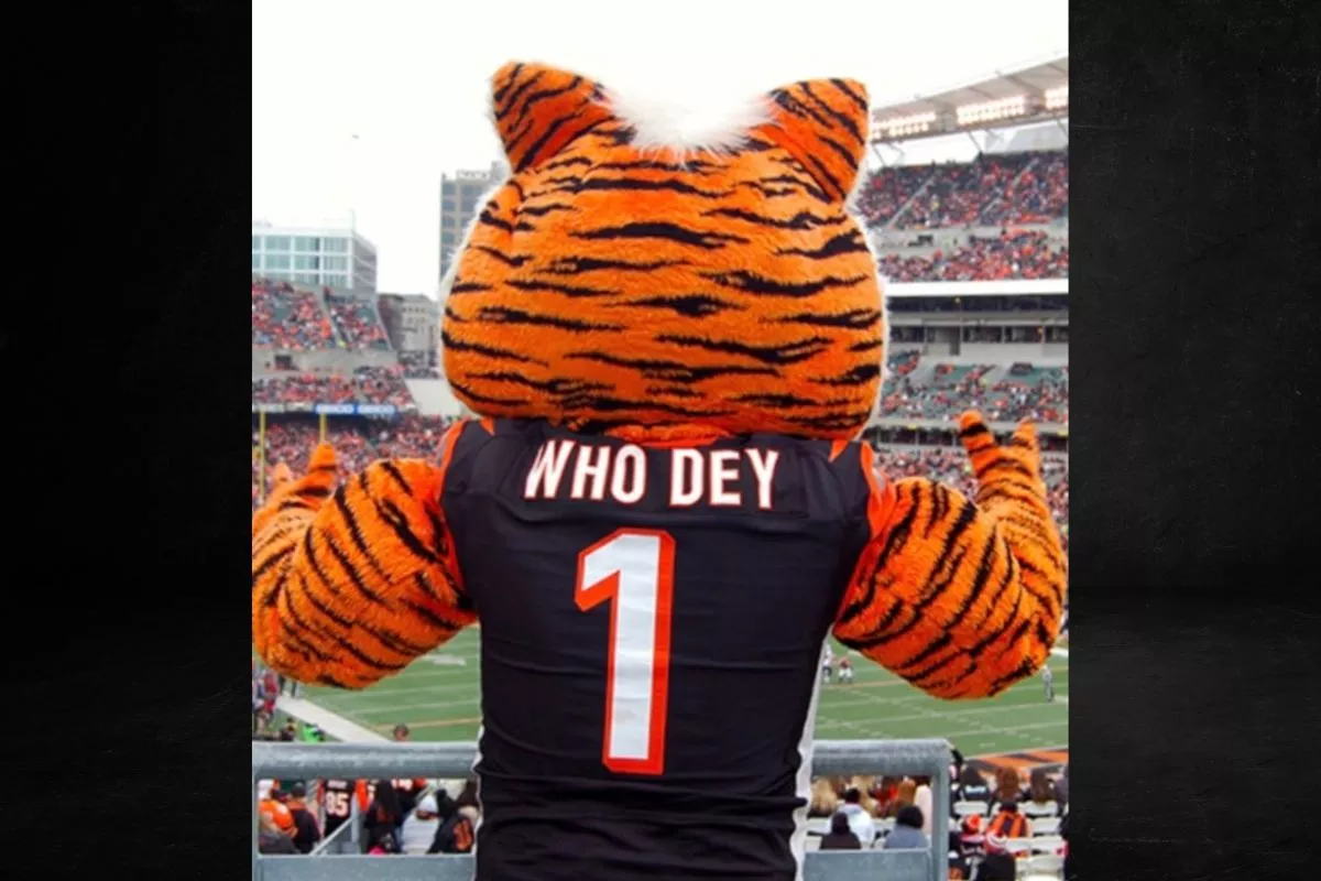 Study: Bengals Fans Are Kinda Annoying