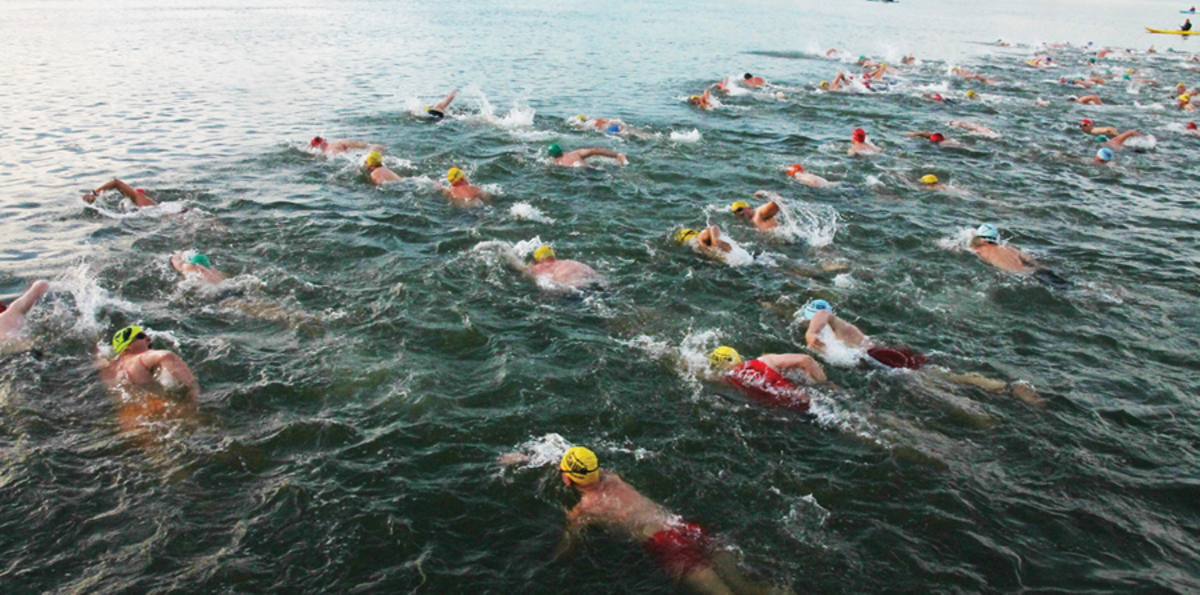 Swim from Cincinnati to Kentucky in the Great Ohio River Swim