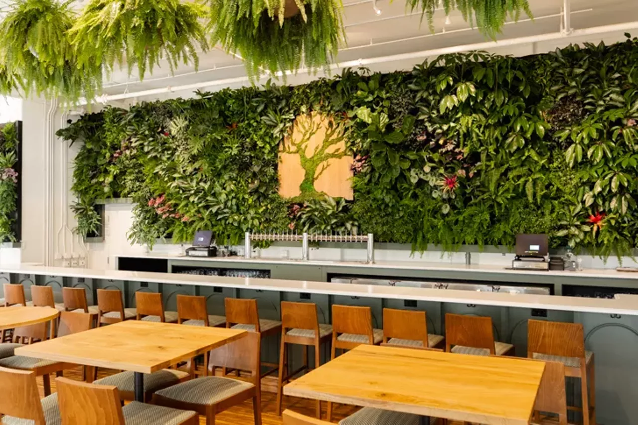 Take a Tour of Alcove, MadTree's New Over-the-Rhine Restaurant and ...