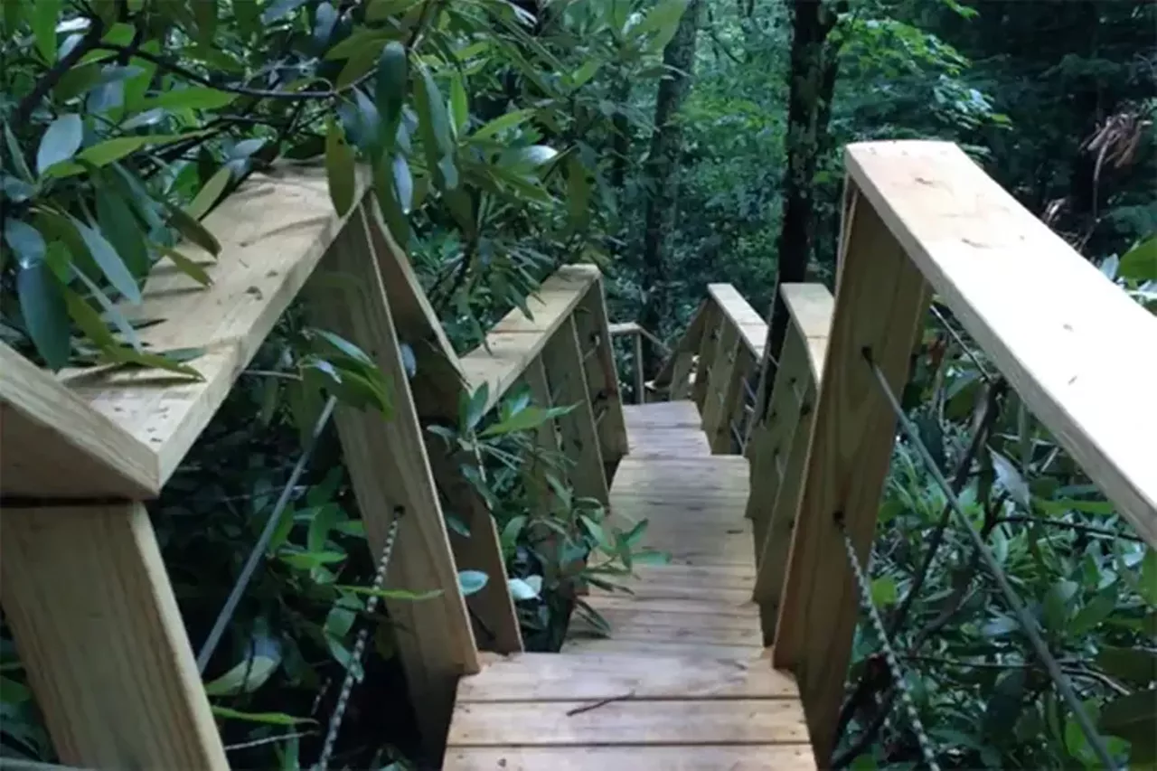 This Epic Red River Gorge Treehouse Requires a 120-Stair Climb Through ...