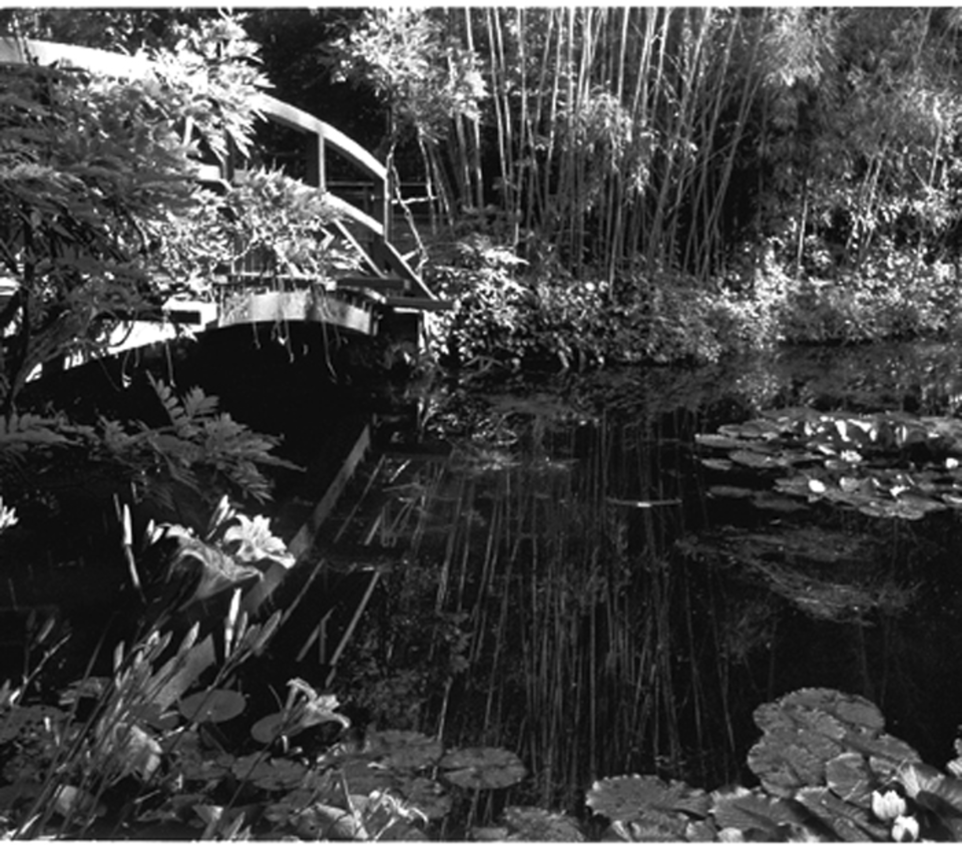Photographer William Messer Observes Two Decades of Giverny
