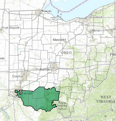 This Far-Right Candidate is Running as a Green Party Candidate in a ...