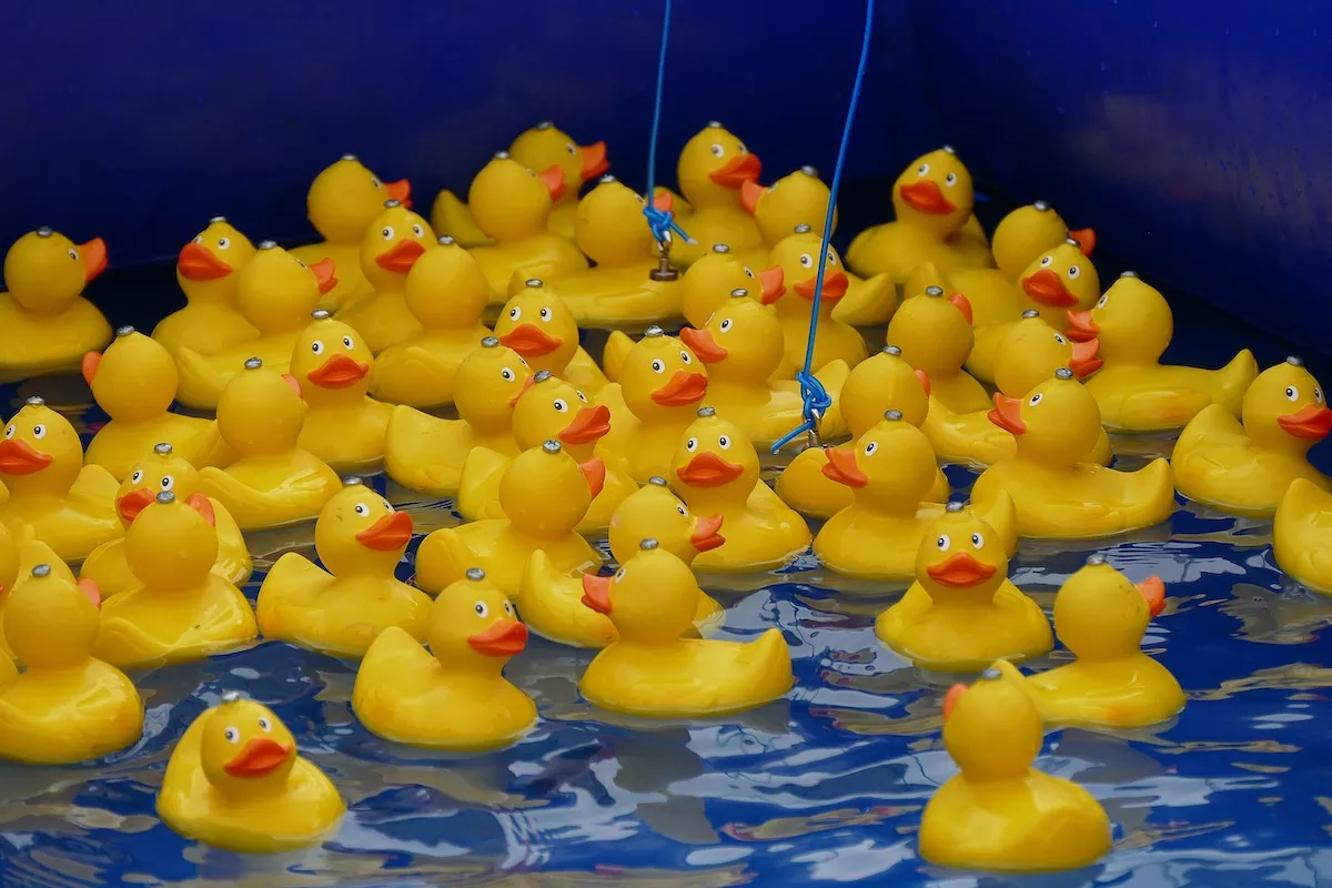 Race Rubber Ducks to Save Real Ones at the First-Ever Great Rubber Duck ...